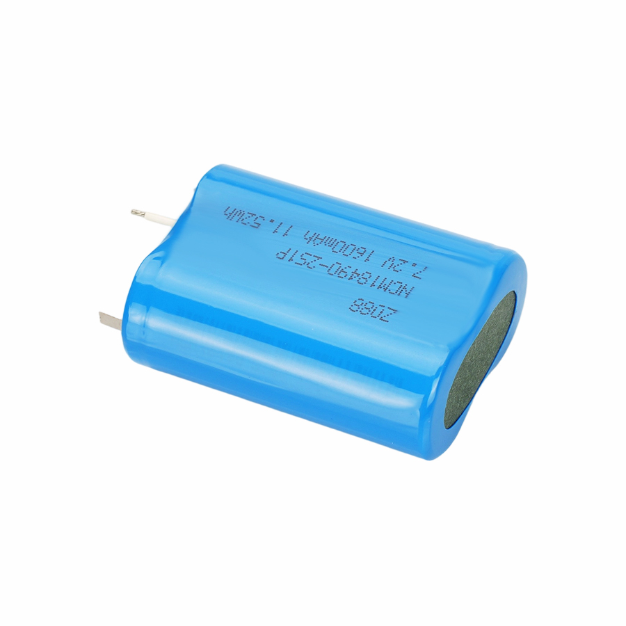 Batterie lithium NCM 7,2 V 1600 mAh 18490-2S1P pour appareils compacts ...